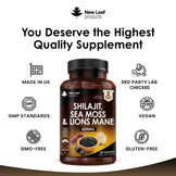 Shilajit, Sea Moss, Lion's Mane | New Leaf Supplements – New Leaf Products